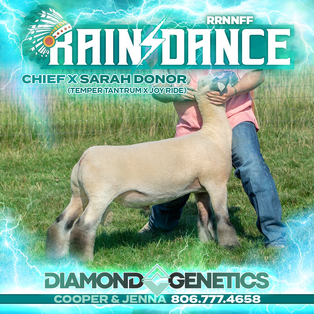 Sires - Diamond C Livestock & Diamond C Genetics