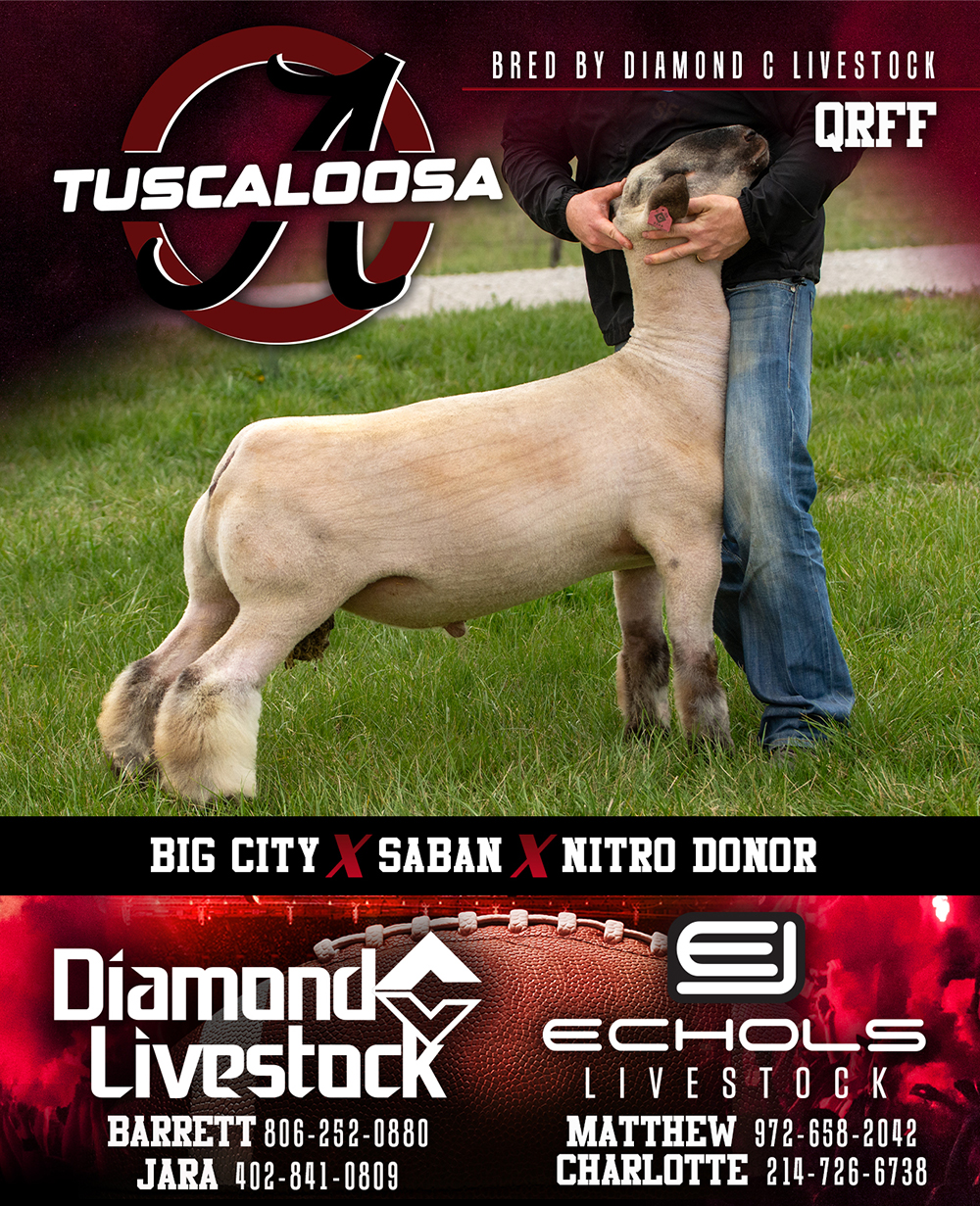 Sires - Diamond C Livestock & Diamond C Genetics