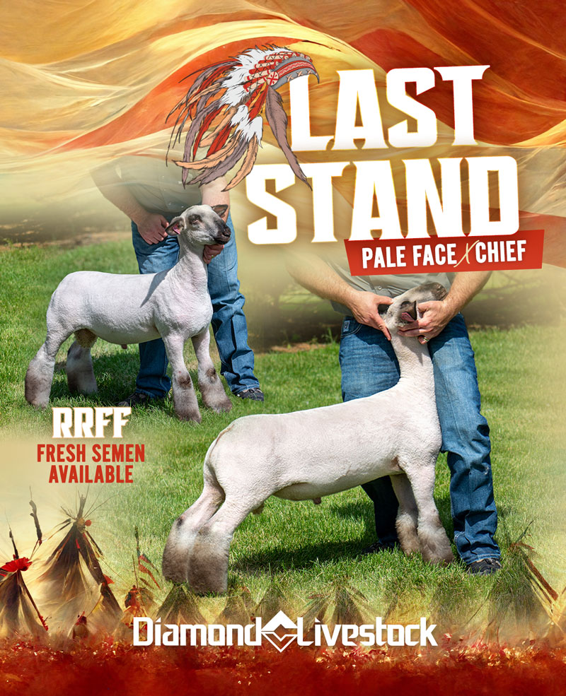 Sires - Diamond C Livestock & Diamond C Genetics